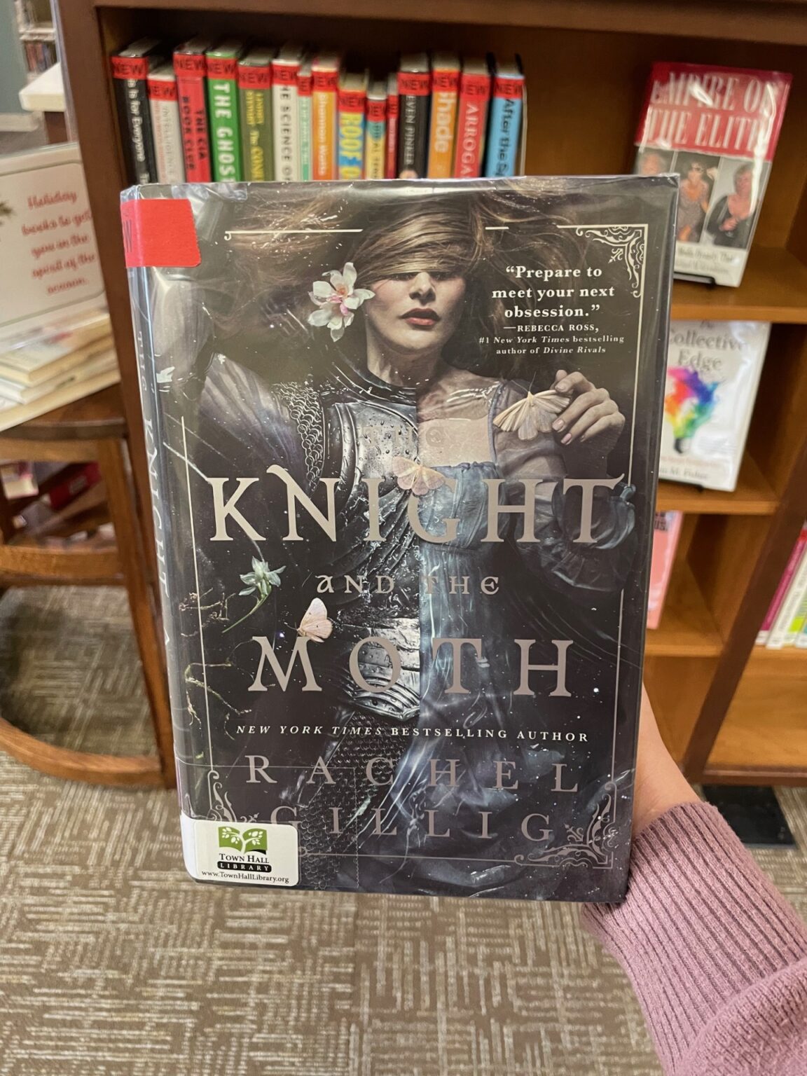 Book Recommendation: The Knight and The Moth